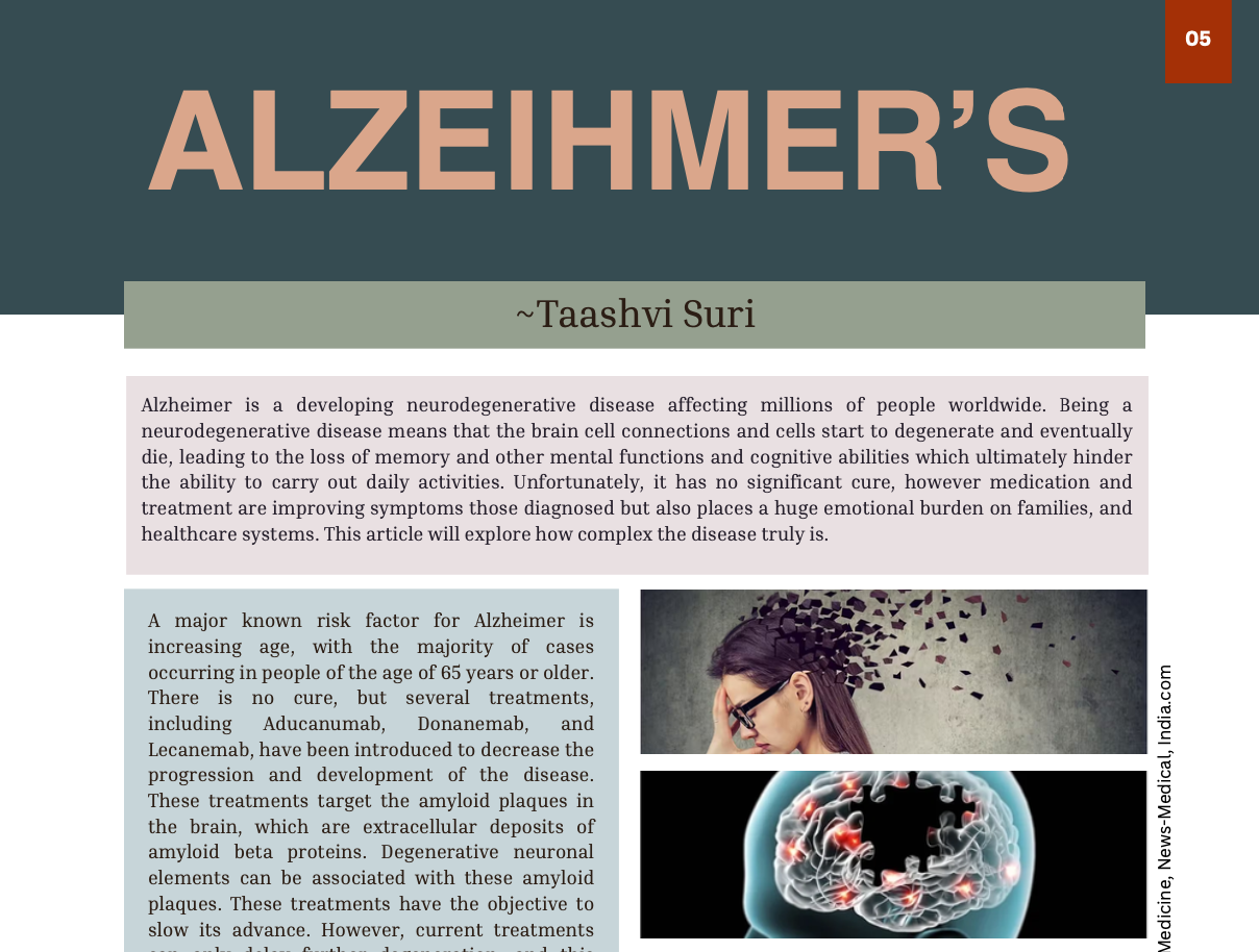 28th Edition – October 2024 – The Weaver Magazine